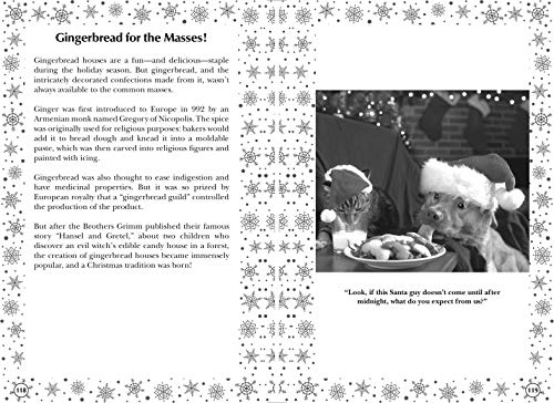 Holiday Humor (Christmas-Themed Stories, Song Parodies, Jokes, Cartoons, and More!)