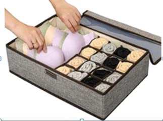 Underwear Bra Organizer with Lid Foldable Closet Storage Boxes for Undies, Socks, Scarves and Lingerie