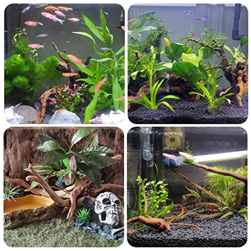 SERJOOC 6Pcs Aquarium Driftwood Spider Wood Ornament for Fish Tank Natural Branches Decorations (4in-6in)