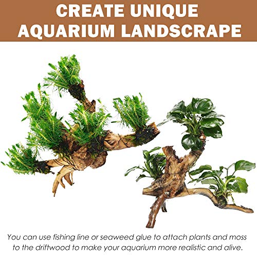 SERJOOC 6Pcs Aquarium Driftwood Spider Wood Ornament for Fish Tank Natural Branches Decorations (4in-6in)