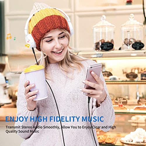 Lightning to 3.5mm Audio Cable 3.3FT, [ MFi Certified] iPhone AUX Cord for Car Stereo,Speaker,Home Stereo,Headphone, for iPhone 14/ 14 Pro/ 13/ 13 Pro/ 12/ 12 Pro/ 11 /X/ XS/ XR/ 8/ 7/ iPad-Black