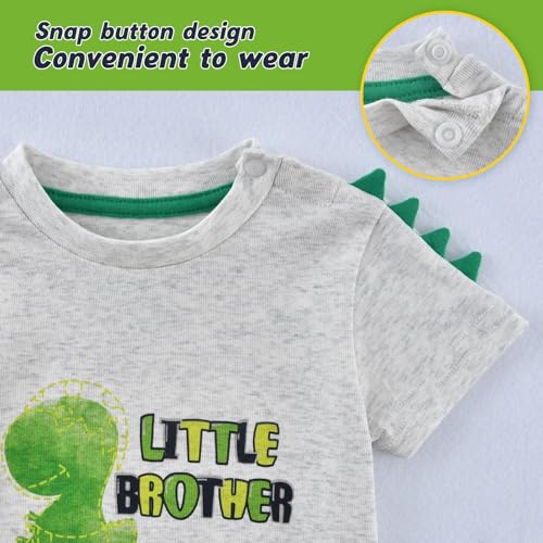 WAWSAM Little Brother Saurus Bodysuit Baby Boys’ Dinosaur Newborn Romper Gift (Light Grey, 0-3 Months)