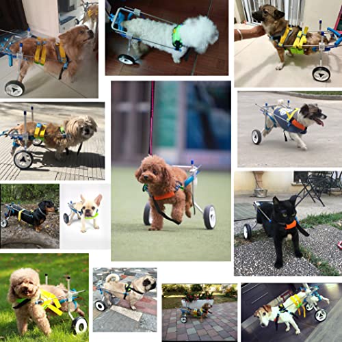HobeyHove Adjustable Dog Cart/Wheelchair for Back Legs,Pet/Doggie Wheelchairs with Disabled Hind Legs Walking,Light Weight (7-Size)(XXS)