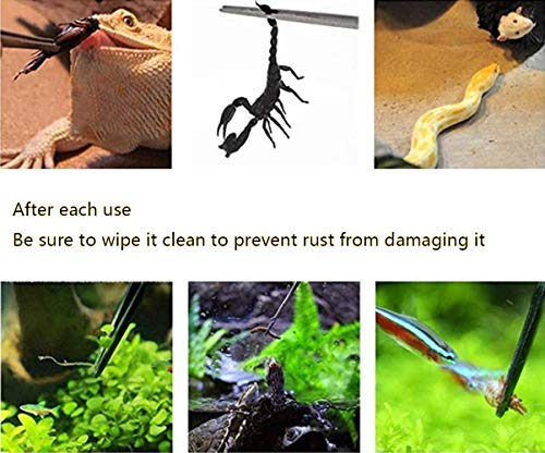 MRTIOO Reptile Stainless Steel Long Tweezers Feeding Tongs, Lizards Snake Gecko and Tarantula Supplies, Terrariums Aquarium Fish Tank Tools - Black 2Pcs
