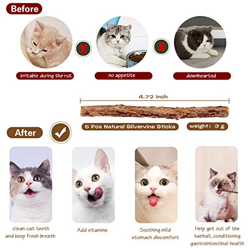 3 PCS Cat Wand Toys, 16 Inch Natural Wooden Cat Teaser Wand Toys with 5 PCS Silvervine Sticks for Cat, Interactive Cat Feather Wand Toy for Indoor Cats, Elastic String Cat Pole Toy with Bell, Feather