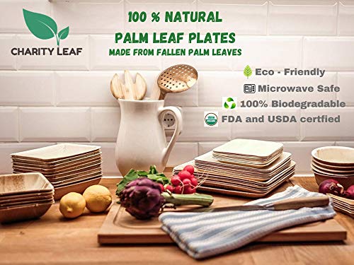 Charity Leaf Disposable Palm Leaf 12" x 10" Trays (10 pieces) Bamboo Like Serving Platters, Disposable Boards, Eco-Friendly Dinnerware For Weddings, Catering, Events