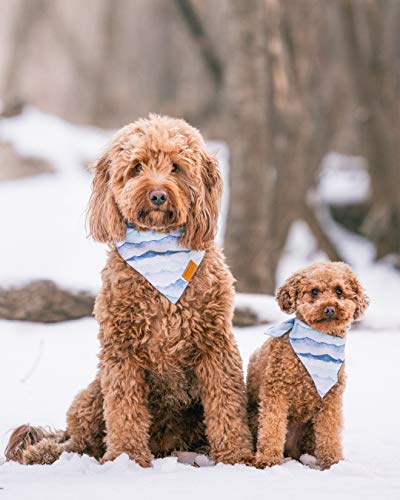 Remy+Roo Dog Bandanas - 4 Pack | Ryan Set | Premium Durable Fabric | Unique Shape | Adjustable Fit | Multiple Sizes Offered (Large)