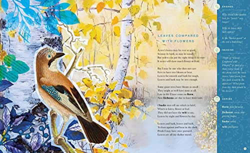 The Illustrated Robert Frost: 25 Essential Poems (The Illustrated Poets Collection, 2)