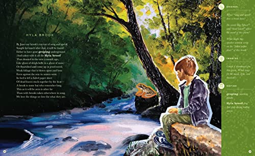 The Illustrated Robert Frost: 25 Essential Poems (The Illustrated Poets Collection, 2)