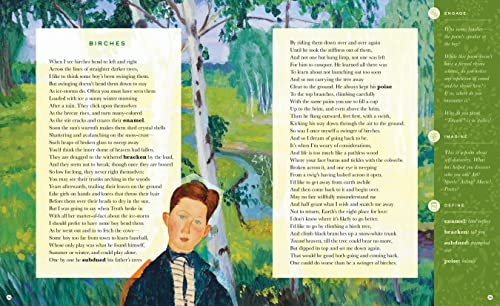 The Illustrated Robert Frost: 25 Essential Poems (The Illustrated Poets Collection, 2)