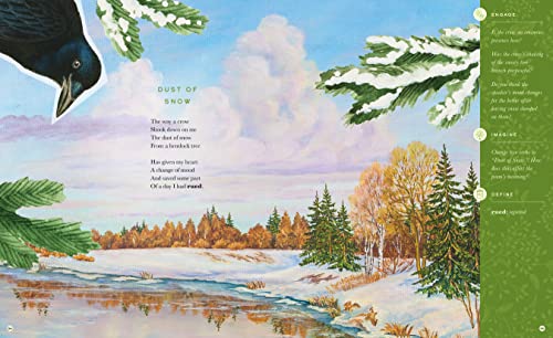 The Illustrated Robert Frost: 25 Essential Poems (The Illustrated Poets Collection, 2)