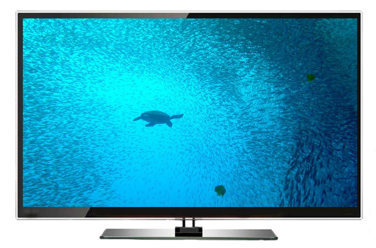 Underwater DVD - Ocean Dreaming - Relaxing Scenes of Corals and Tropical Fishes