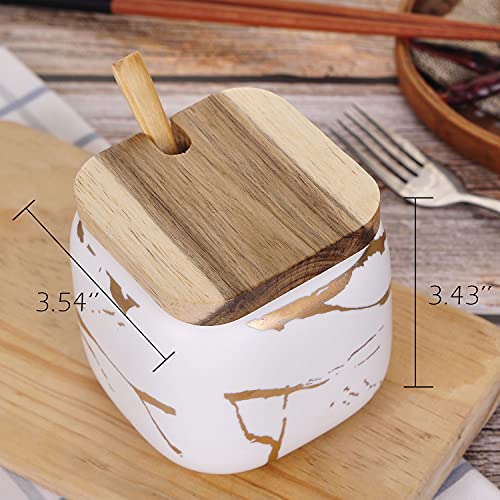 VanEnjoy Decorative Marble Inlay Glaze Ceramic Sugar Spice Containers Porcelain Jar with Bamboo Lid and Spoon Condiment Jar for Home