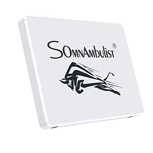 Somnambulist Solid State Drive 60gb 960gb SSD120gb 240gb 480gb ssd Suitable for Laptop 2tb ssd Hard Drive (White Cow 480GB)