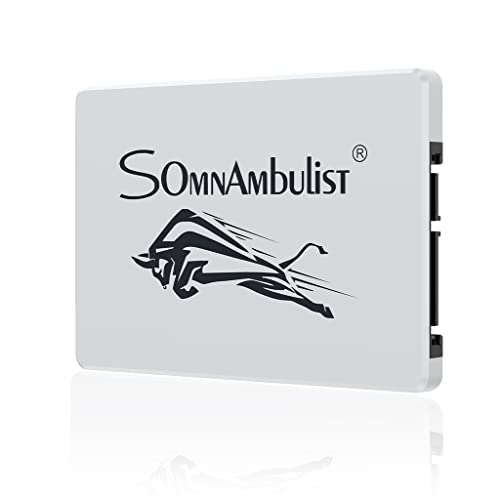 Somnambulist Solid State Drive 60gb 960gb SSD120gb 240gb 480gb ssd Suitable for Laptop 2tb ssd Hard Drive (White Cow 480GB)
