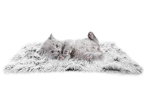PJYuCien Fluffy Fleece Cat Dog Blanket, Soft Warm Pet Throw Blanket for Dogs & Cats (Small 16" x 24")
