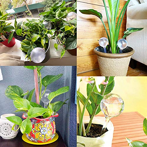 Jnynhha 6PCS Clear Plant Watering Bulbs,Automatic Watering Globes,Plastic Self Watering Bulbs Ball for Plant,Garden,Indoor Outdoor Decoration