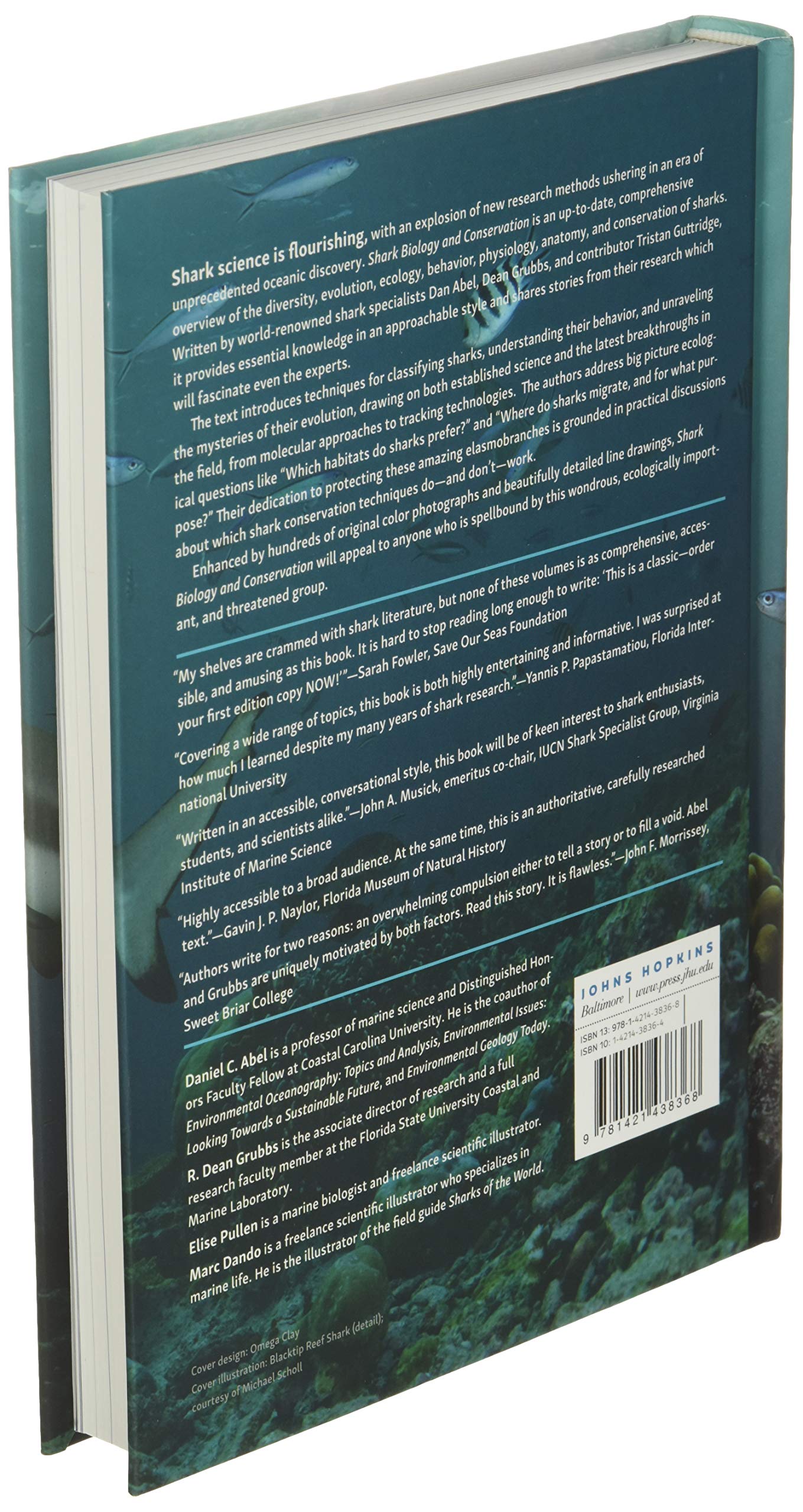 Shark Biology and Conservation: Essentials for Educators, Students, and Enthusiasts
