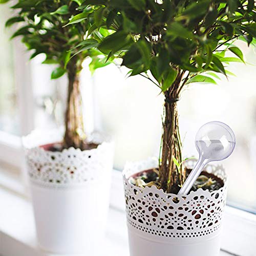 Jnynhha 6PCS Clear Plant Watering Bulbs,Automatic Watering Globes,Plastic Self Watering Bulbs Ball for Plant,Garden,Indoor Outdoor Decoration