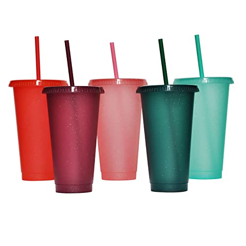 Suertestarry Tumbler with Straw and Lid,Water Bottle Iced Coffee Travel Mug Cup,Reusable Plastic Cups,Perfect for Parties,Birthdays,24oz-5 Pack (Rainbow Glitter(24oz)