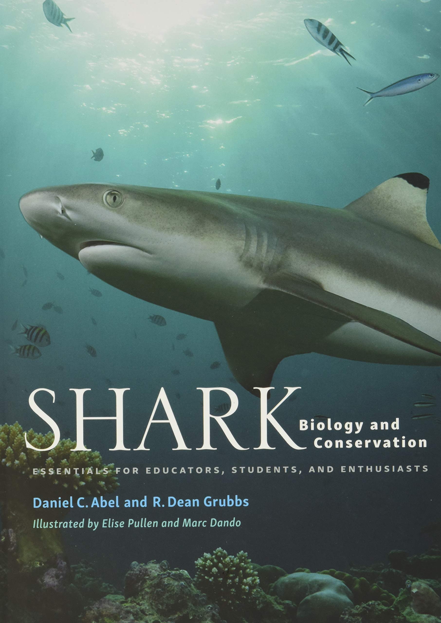 Shark Biology and Conservation: Essentials for Educators, Students, and Enthusiasts