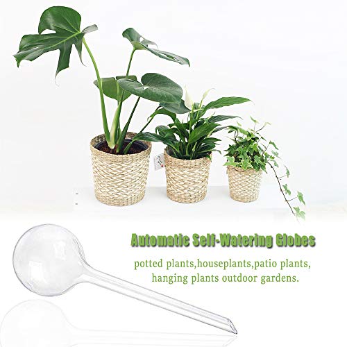 Jnynhha 6PCS Clear Plant Watering Bulbs,Automatic Watering Globes,Plastic Self Watering Bulbs Ball for Plant,Garden,Indoor Outdoor Decoration