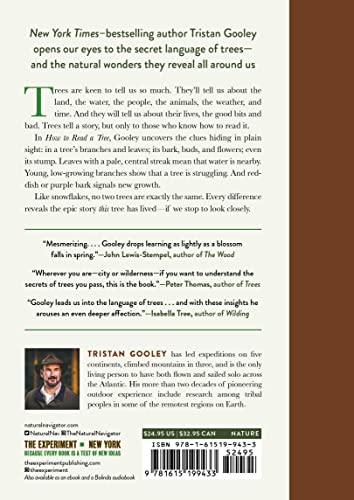 How to Read a Tree: Clues and Patterns from Bark to Leaves (Natural Navigation)
