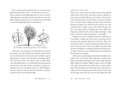 How to Read a Tree: Clues and Patterns from Bark to Leaves (Natural Navigation)