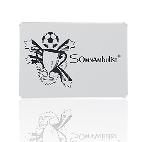 Somnambulist 2.5 sata ssd 120gb 240gb 480gb 960gb 2tb HDD ssd 60gb Solid State Drive Suitable for Desktop Laptop (White Trophy 2TB)