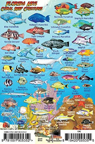 Florida Keys Reef Creatures Guide Franko Maps Laminated Fish Card 4" x 6"