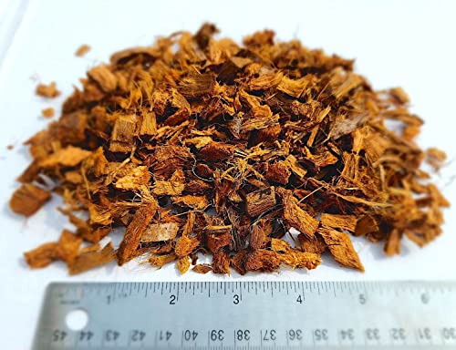 BabiChip Coconut Chip Substrate for Reptiles 12 Quart Loose Small Sized Coco Husk Chip Bedding for Ball Pythons, Other Snakes, Tortoises, Geckos, Frogs, or Lizard Terrarium Tanks