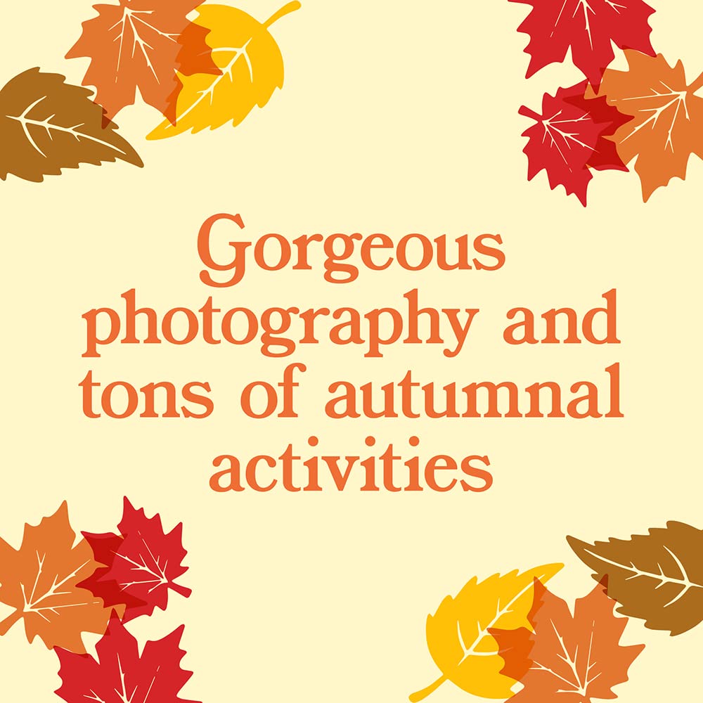 From Harvest to Home: Seasonal Activities, Inspired Decor, and Cozy Recipes for Fall