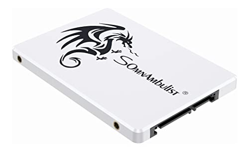 Somnambulist 2tb 120gb sata ssd Disk Built-in Hard Drive Suitable for Desktop Notebook Computers 960gb 240gb 60gb 480gb (White Dragon 60GB)