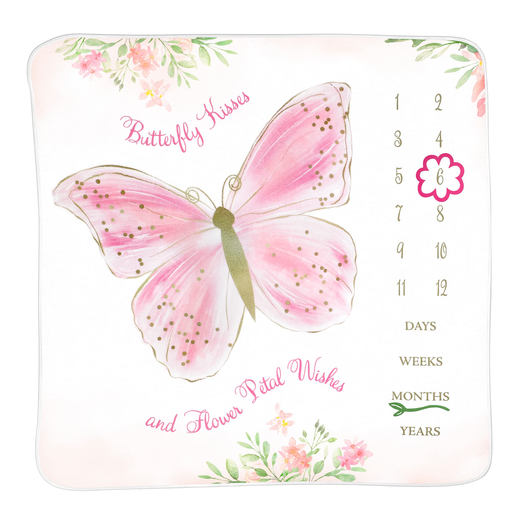 Lillian Rose Butterfly Baby Milestone Blanket Frames, Pink