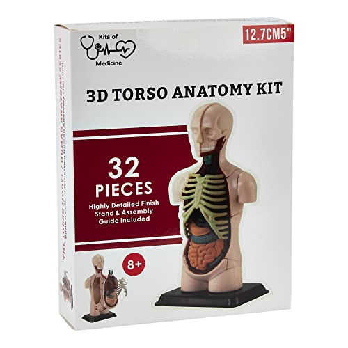 Human Anatomy Model | 32 Piece Human Body Puzzle | Perfect for Anatomy Study | Build Your Own Anatomy Museum | Torso Anatomy Model for Learning | Great Gift for Nurse, Dentist, Medical Students