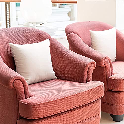 Empyrean Bedding Throw Pillow - 16 x 16 Inches Decorative Pillow Insert - Cotton Blend Outer Shell Indoor & Outdoor Pillows (Pack of 2, White)
