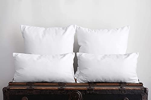 Empyrean Bedding Throw Pillow - 16 x 16 Inches Decorative Pillow Insert - Cotton Blend Outer Shell Indoor & Outdoor Pillows (Pack of 2, White)