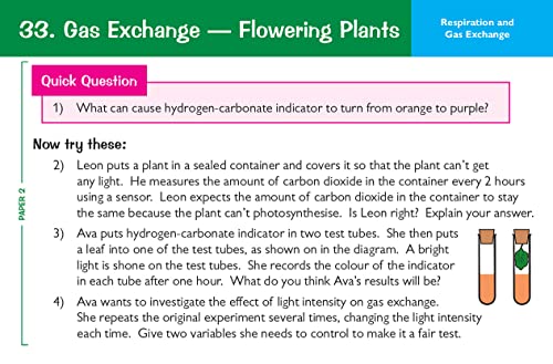 New Grade 9-1 Edexcel International GCSE Biology: Revision Question Cards (CGP IGCSE 9-1 Revision)