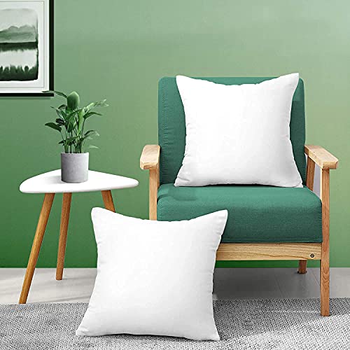 Empyrean Bedding Throw Pillow - 16 x 16 Inches Decorative Pillow Insert - Cotton Blend Outer Shell Indoor & Outdoor Pillows (Pack of 2, White)