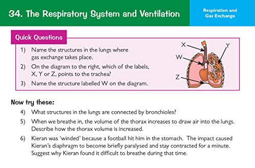 New Grade 9-1 Edexcel International GCSE Biology: Revision Question Cards (CGP IGCSE 9-1 Revision)