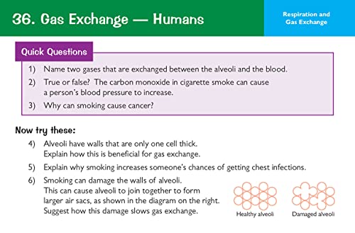New Grade 9-1 Edexcel International GCSE Biology: Revision Question Cards (CGP IGCSE 9-1 Revision)