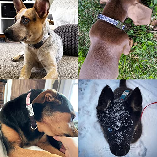 Slide-On Pet ID Tags - S/M/L/XL Personalized Dog and Cat Tags, Silent, No Noise Collar Tags Made of Stainless Steel, Large-fits 1 inch Collars, Custom Engraved Dog Name Tags