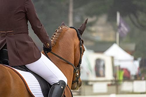DOUBLE ACTION (Cooling and Warming Effect) Liniment Gel for Sore Muscles and Joints made with Camphor and Menthol for Horses. Effective Post Workout Recovery and Pre-Workout Leg and Spinal Care Rub