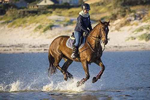 DOUBLE ACTION (Cooling and Warming Effect) Liniment Gel for Sore Muscles and Joints made with Camphor and Menthol for Horses. Effective Post Workout Recovery and Pre-Workout Leg and Spinal Care Rub