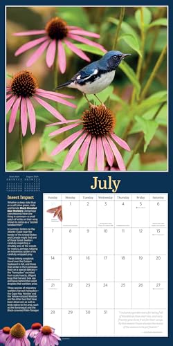 Audubon Birds in the Garden Wall Calendar 2024: Use Native Plants to Attract Birds and Pollinators to Your Backyard
