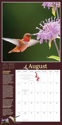 Audubon Birds in the Garden Wall Calendar 2024: Use Native Plants to Attract Birds and Pollinators to Your Backyard