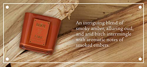 Root Candles Scented Candles Elements Collection Premium Handcrafted 3-Wick Candle, 14.5-Ounce, Fire