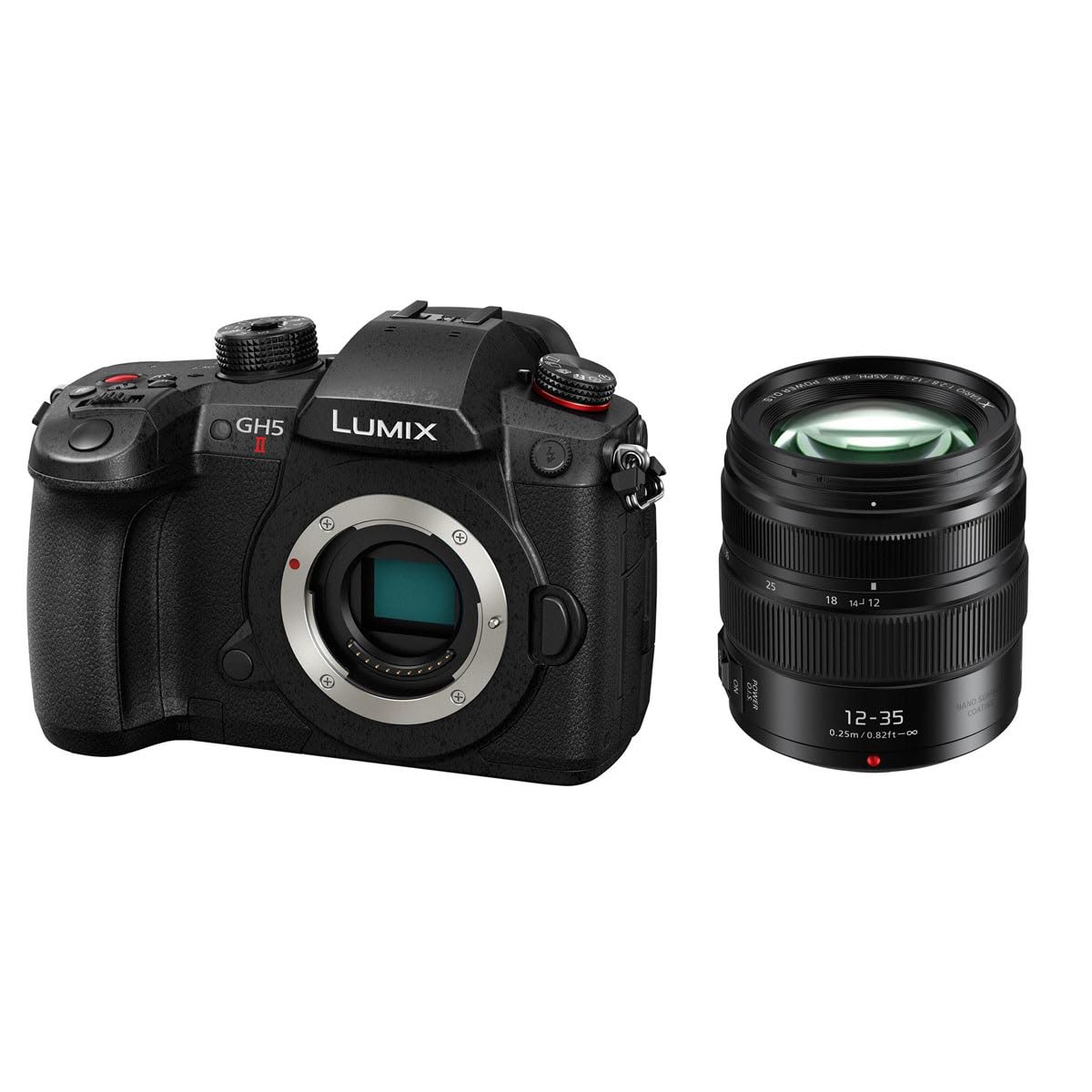 Panasonic LUMIX GH5II Mirrorless Camera Bundle with Panasonic LUMIX G X Leica DG Vario-Elmarit 12-35mm f/2.8 Aspherical Lens for MFT, ProOPTIC Lens Wrap