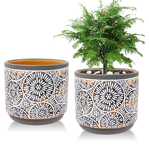 Vivimee 2 Pack Ceramic Plant Pots, 5 Inch Flower Pot Set, Planter Set with Drainage Hole for Indoor Plants, Cactus, Succulent, Snake Plants, Bamboo, Clay Pottery Garden Pots for Outdoor Plants(Gray)