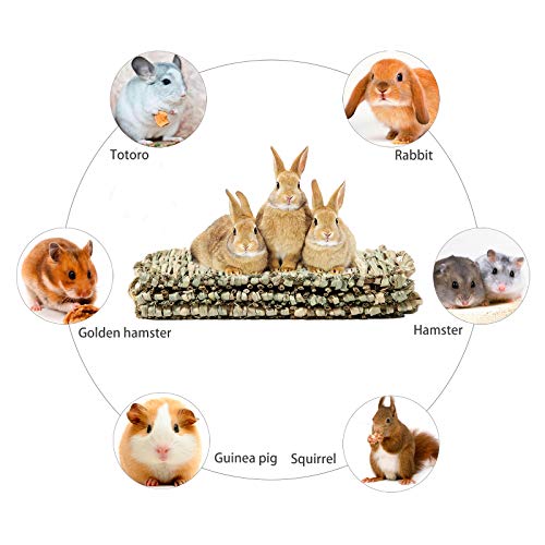Anyuxin Rabbit Grass Mat - Woven Bed Mat, Bunny Bedding for Small Animals, Natural Straw Woven Bed for Pet Nesting, Nature Hay Mat Chewing Play Toy for Guinea Pig, Hamster, Squirrel and More(3 Pack)
